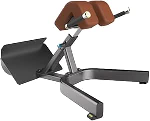 YALLA HomeGym Commercial Roman Chair Back Extension Machine ...