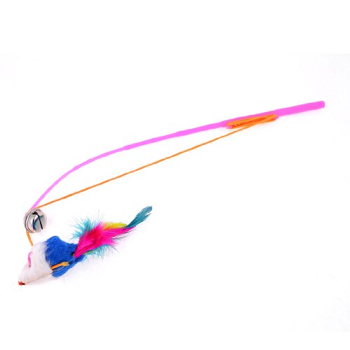 Federmaus – Die 15 besten Produkte im Vergleich - Haustierratgeber Ratgeber