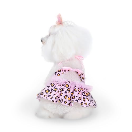 Dog Bathing Suit – The 15 best products compared - Wild Explained