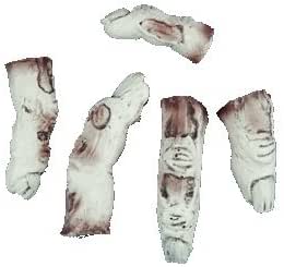 Amazon.com: Chic Design 5pcs Rotting Bloody Fingers, Flesh Eating ...