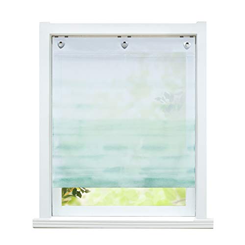 Raffrollos Grün – Die 15 besten Produkte im Vergleich - Heim & Werk ...