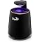 Amazon.com : Trapex Indoor Fly Trap - Gnat Killer for Fruit Fly, Gnats ...