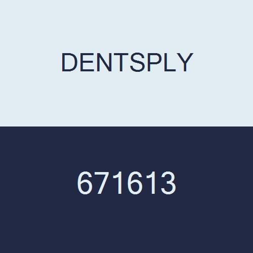 Amazon.com: DENTSPLY 671613 Radix Anchor Refill, 1 (Pack of 12 ...