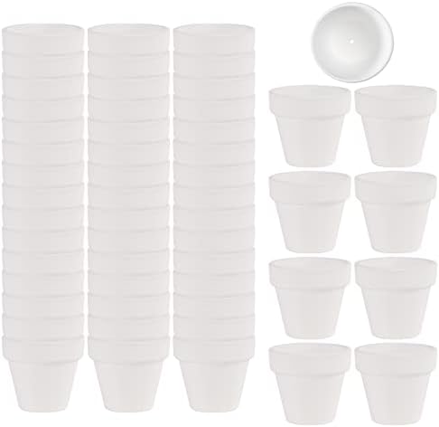 Amazon.com: 72 Pcs Small Mini Clay Pots - 2'' Terracotta Pot Ceramic ...