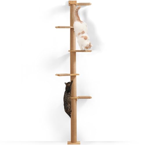 Cat Pole – The 15 best products compared - Wild Explained