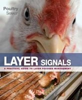 Layer Signals: A Practical Guide for Layer Focused Management ...