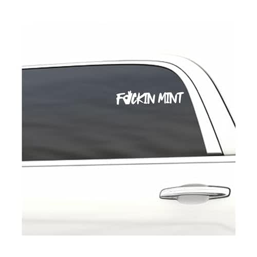 Amazon.com: F'n mint fkn mint, if it was meant to go fast it wouldn’t ...