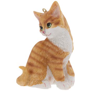 Tan Cat – The 15 best products compared - Wild Explained