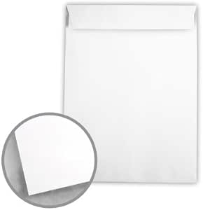 Amazon.com : Printmaster White Envelopes - No. 10 1/2 Catalog (9 x 12 ...