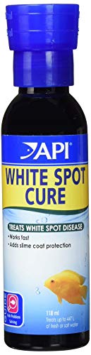 How to Treat Ich: Best Ich Treatment Options - Aquarium Friend