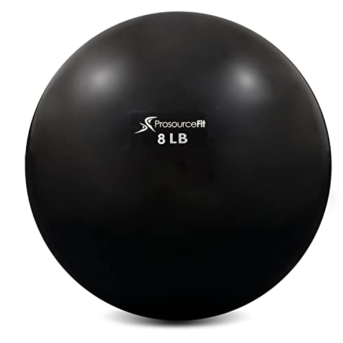 Snapklik.com : ProsourceFit Weighted Toning Exercise Balls For Pilates