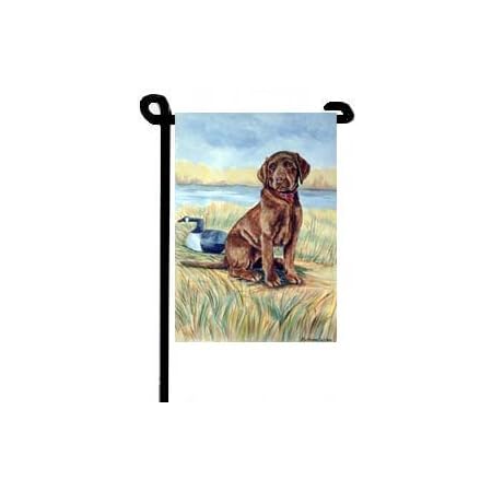 Amazon.com : Chocolate Lab - Training Day - Garden Flags : Patio, Lawn ...