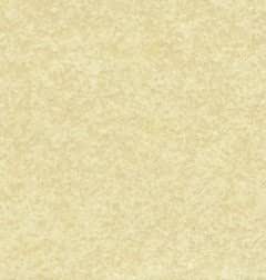 A4 (210 x 297mm) Parchment Paper Aged 170gsm, Pack of 50 Sheets ...