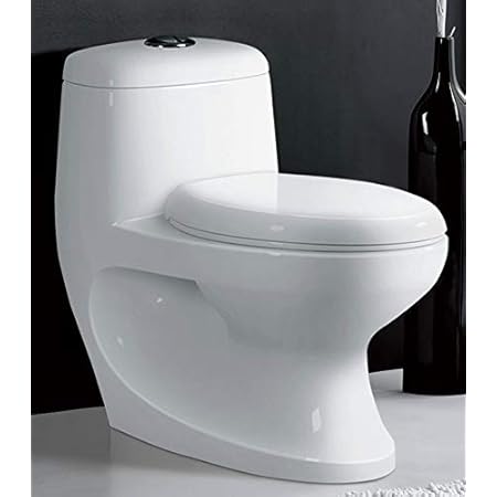 Belmonte Combo of Small Wall Hung/Wall Mounted Western Toilet/Commode ...