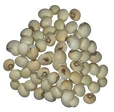 Original White GUNJA/CHIRMI Seeds / 31PCS/Abrus Precatorius/Gamanchi ...