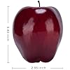 Amazon.com: Toopify 16PCS Artificial Red Apples, Red Delicious Faux ...