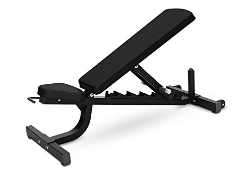 Matrix G1-FW153 Adjustable Incline Bench : Amazon.in: Sports, Fitness ...