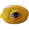 Amazon.com: Dead Head Props Realistic Life Sized Freaky Fruit All ...