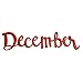 Amazon.com: Embellish Your Story 13616R December Word Magnet Calendar ...