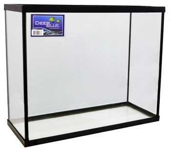 DEEP BLUE PROFESSIONAL 37xh Tank Black 30x12x24 : Amazon.in: Pet Supplies