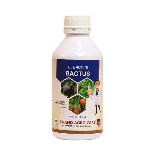 Buy Dr. Bacto's Bactus (Bacillus subtilis) Control Anti Bacterial ...