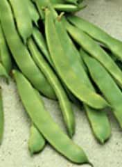 Amazon.com : Honeyman Farms 4157 Green Bean Pole Kwintus Seed Packet ...