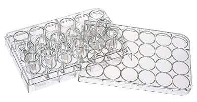 Corning Transwell 3413 Polycarbonate Sterile Tissue Culture Treated ...