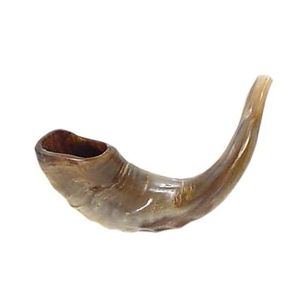 Amazon.com: Shofar for Jewish Holiday. Traditional Shofar (Rams Horn ...