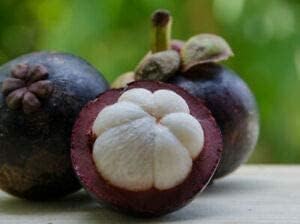 Amazon.com : MITRAEE 100 Mangosteen Tree Seeds : Patio, Lawn & Garden
