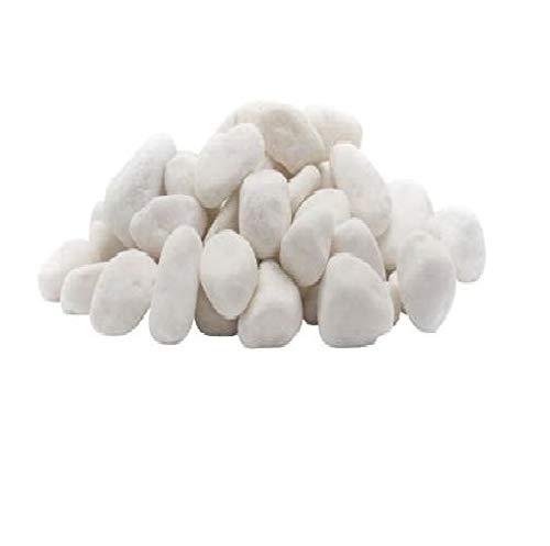 Decorative White Stone 475 Grams : Amazon.in: Home & Kitchen