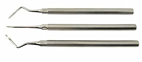 Buy DENTAL TOOL Root Pick Elevator(3 pcs/set) Online at Low Prices in ...