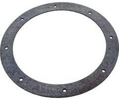 Amazon.com: Sta-Rite Large Light Niche Liner Gasket Replacement Parts ...