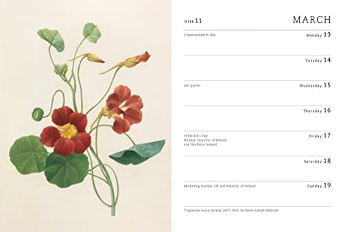 Snapklik.com : RHS Desk Diary 2023