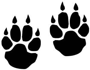 Amazon.com: Paw Prints with Claws - Pack of 4 - StickerVinyl Waterproof ...