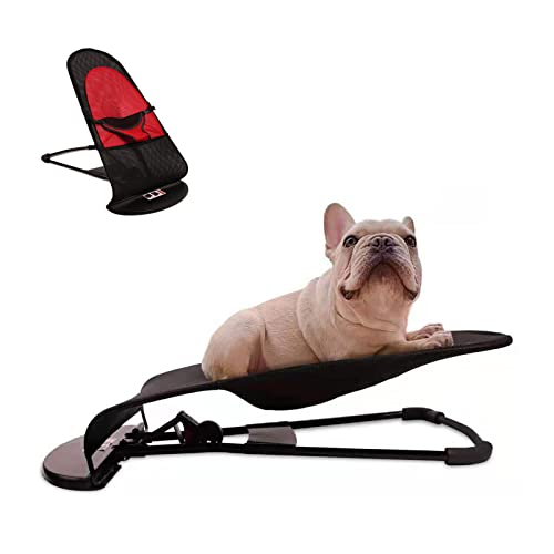 Chair Dog Dune – The 16 best products compared - Outdoors Magazine