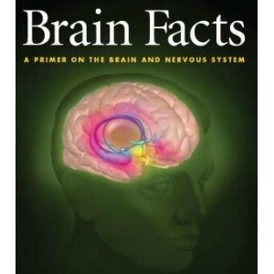Brain Facts- A Primer on the Brain and Nervous System - Society for ...