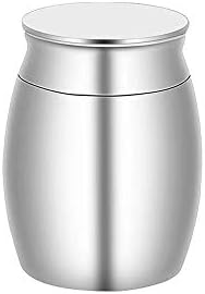 Amazon.com: LSTCPGLAI Mini Urns for Human Ashes - Small Stainless Steel ...