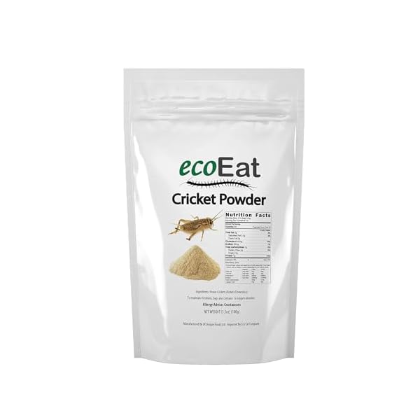 ecoEat Cricket Flour Powder Protein - 100g - Healthy Powder Edible ...