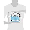 Amazon.com: KitchenAid 2.0-Quart Kettle with C Handle and Trim Band ...