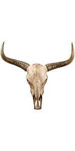 Amazon.com: SvRite 30" Cow Skull Wall Art, Long Horn Cow Skull Wall ...
