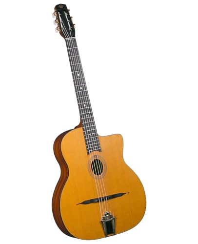 The Best Gypsy Jazz Guitar – Audio Assemble