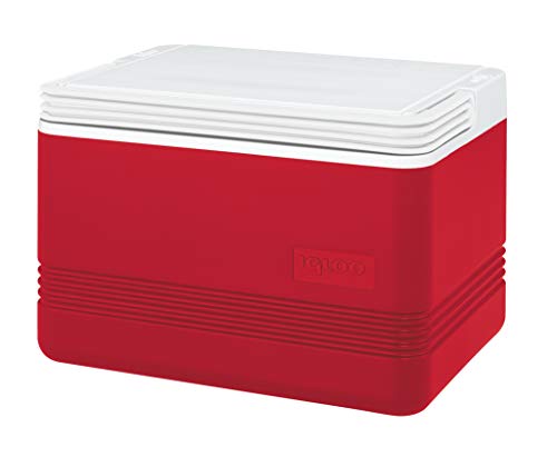 Large Igloo Cooler – The 15 best products compared - Your Motor Guide