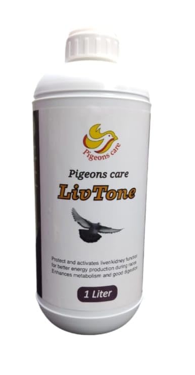 Pigeons Care LivTone, Liver Supplement for Pigeons, 1 Litre : Amazon.in ...