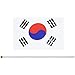 Amazon.com: 25 Pack Hand Held Small Mini Flag Korea Flag Korean Flag ...