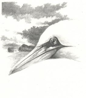 Amazon.co.uk: Donald S. Murray: books, biography, latest update