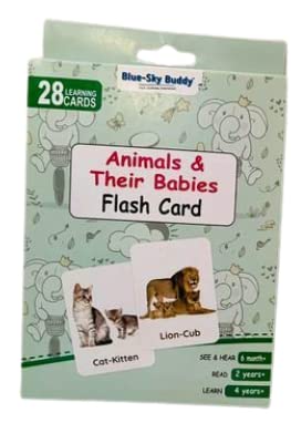 Buy Blue-Sky Buddy Flash Card for Kids , Animal & Their Babies Flash ...