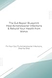 【発売日：2025年11月10日】・製造元:Gut Root