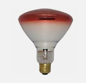 1 Pc Replacement Bulb Compatible with GE WB08X10029 175W 120V - Eb4 ...