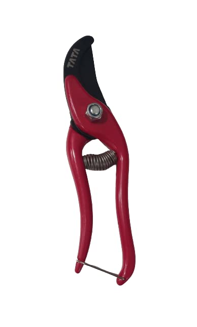Tata Agrico Garden Shears Sharp Cutter Pruners Scissor, Pruning Seeds ...