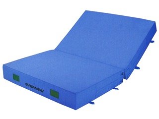 Amazon | エバニュー(EVERNEW) 屋内カラーエバーマット二ツ折200×300